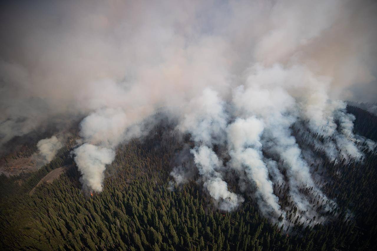Court sides with Okanagan man who defied wildfire evacuation order ...