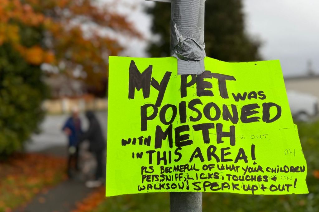 Vancouver Island resident’s cat dies from methamphetamine exposure ...