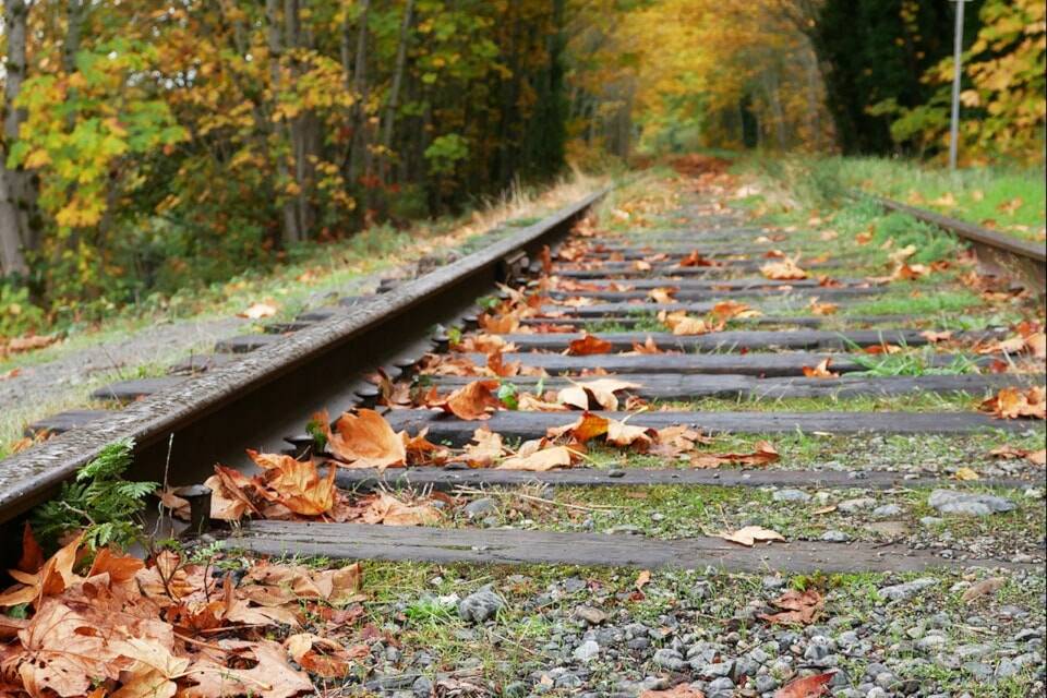 LETTER TO THE EDITOR: Spend on reviving rail on the Island | Nanaimo ...